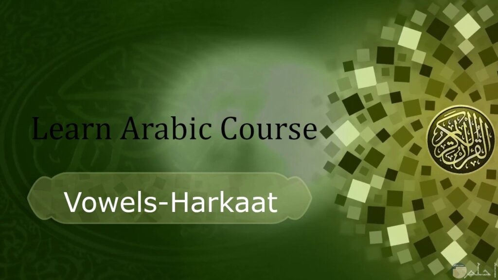 Learn Arabic Course-Vowels-Harkaat - Quran Online with Tajweed for Kids ...